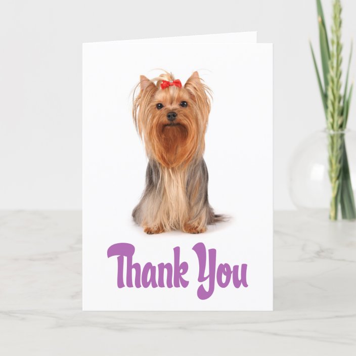 Thank You Yorkshire Terrier Puppy Card - Verse | Zazzle.com