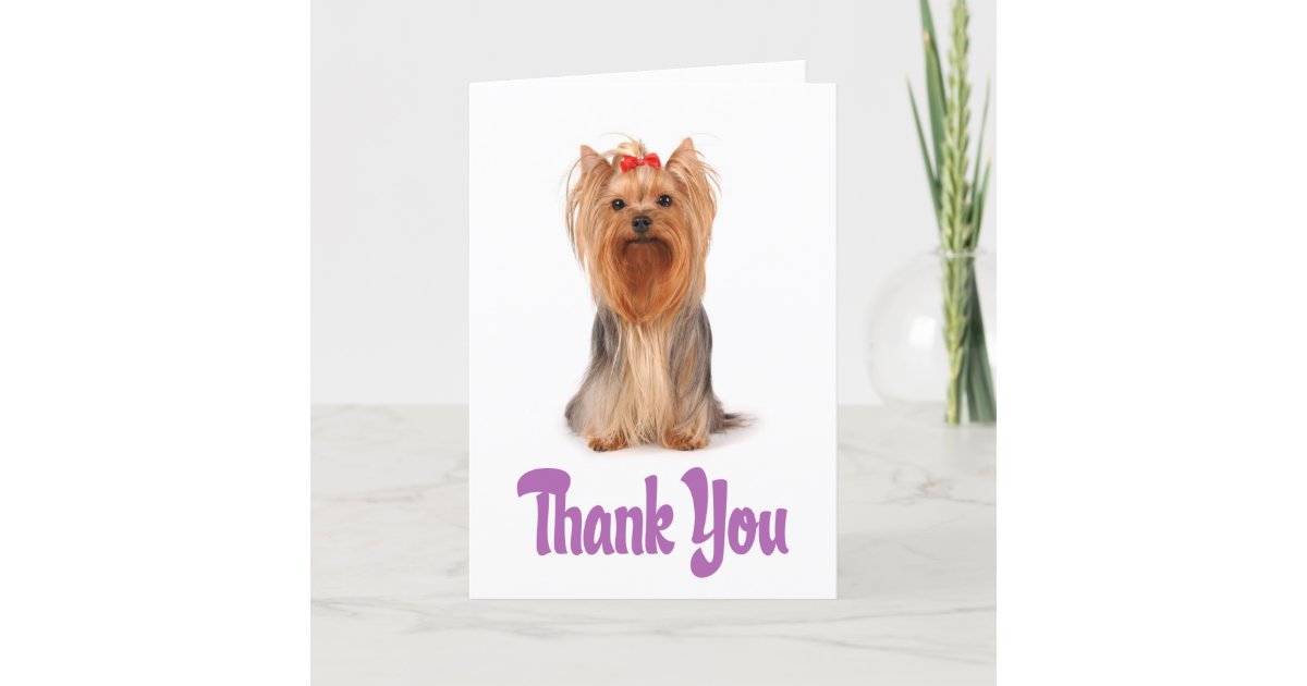 Thank You Yorkshire Terrier Puppy Card - Verse | Zazzle