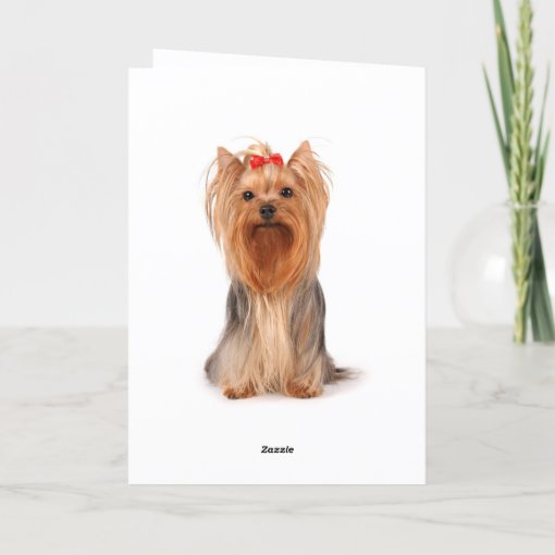 Thank You Yorkshire Terrier Puppy Card - Verse | Zazzle