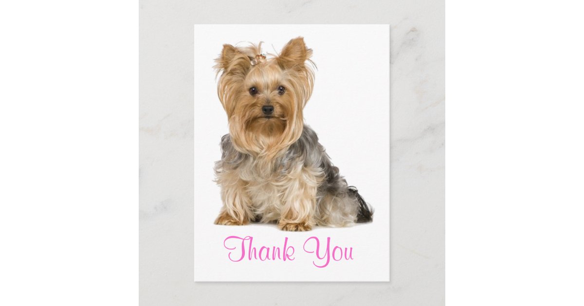 Thank You Yorkshire Terrier Puppy Dog Postcard | Zazzle
