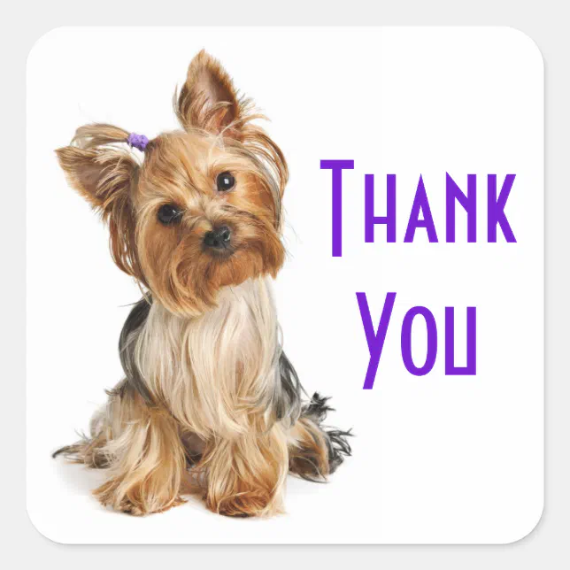 Thank You Yorkshire Terrier Puppy Dog Stickers | Zazzle
