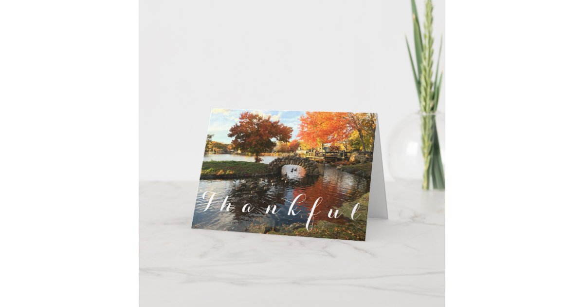 Thankful Autumn Greeting Card | Zazzle