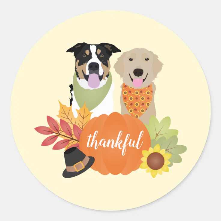 Thankful Dogs Thanksgiving Harvest Pumpkins Classic Round Sticker | Zazzle