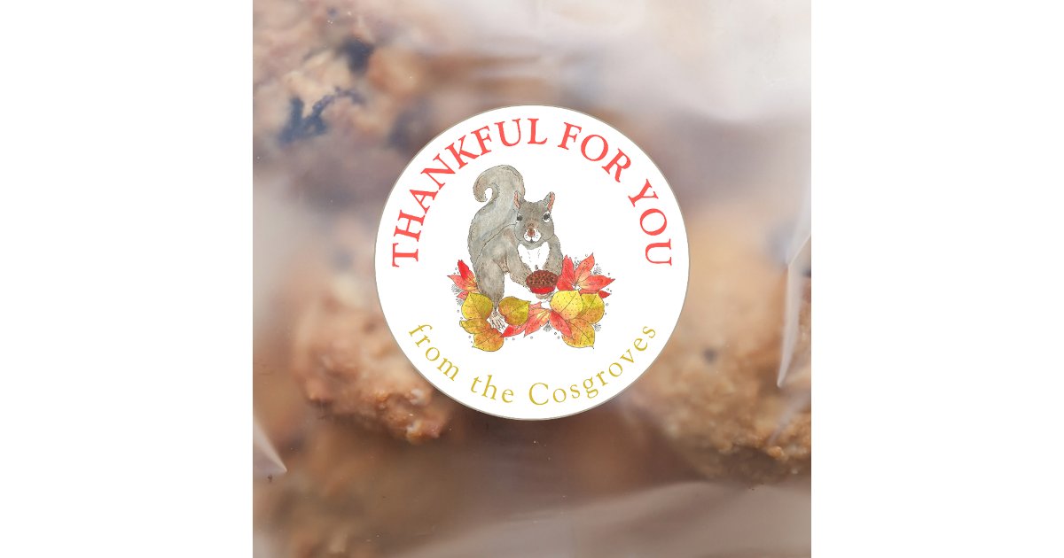 Thankful for You Squirrel with Pecan Pie Classic Round Sticker | Zazzle