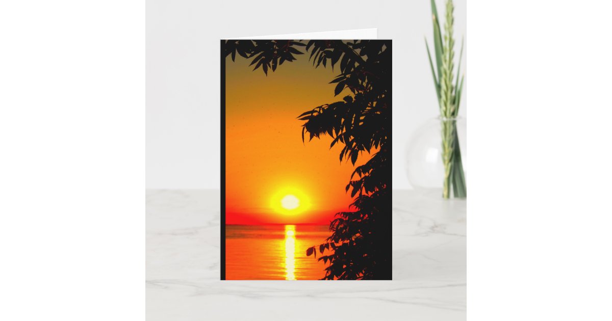 Thanks For Being A Bright Spot In My Life! Thank You Card | Zazzle