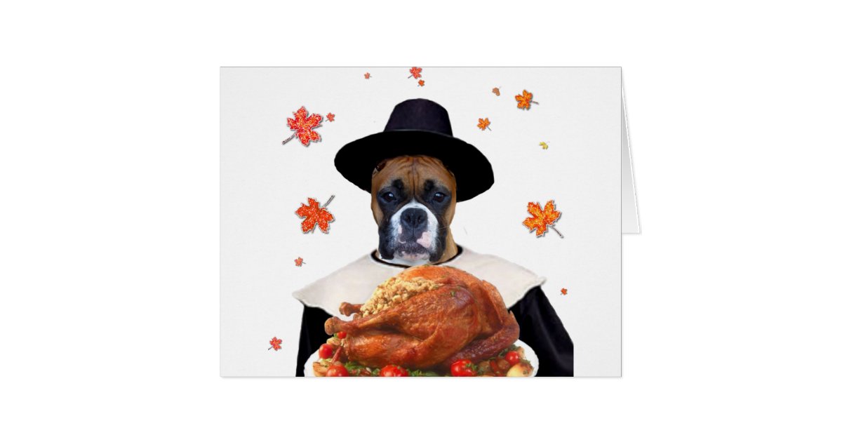 Thanksgiving Boxer dog | Zazzle
