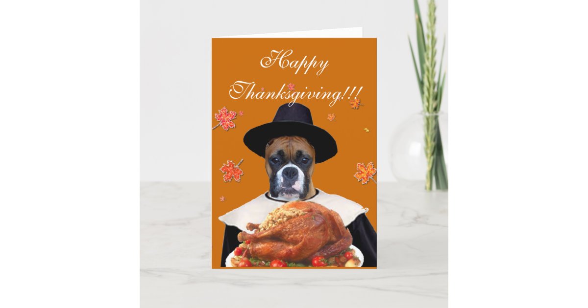 Thanksgiving boxer dog greeting card | Zazzle.com
