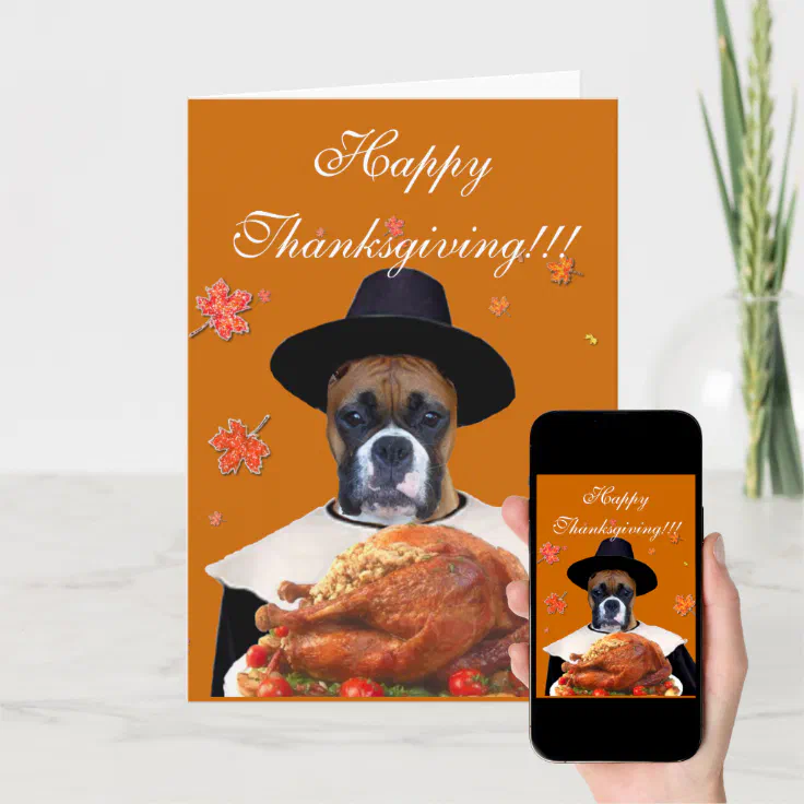 Thanksgiving boxer dog greeting card | Zazzle