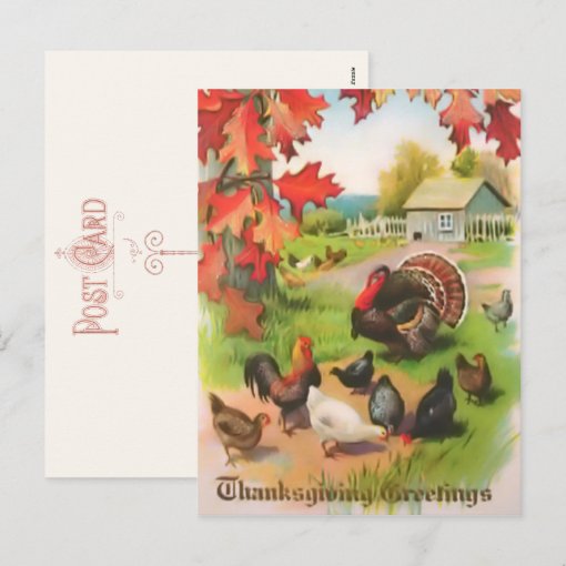 Thanksgiving Countryside Greetings Postcard | Zazzle