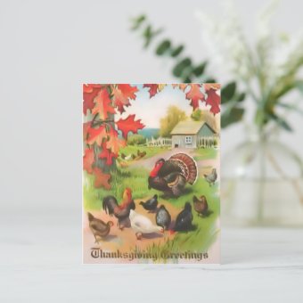 Thanksgiving Countryside Greetings Postcard | Zazzle