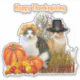 Thanksgiving Cute Pilgrim Cats Vinyl Cutout Sticker | Zazzle