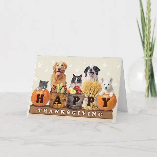 Thanksgiving Day cat and dogs Holiday Card | Zazzle