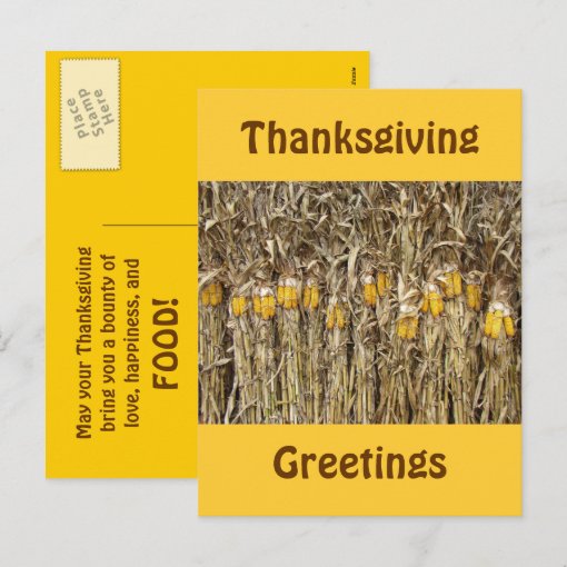 Thanksgiving Dried Corn Stalk Decorations Holiday Postcard | Zazzle