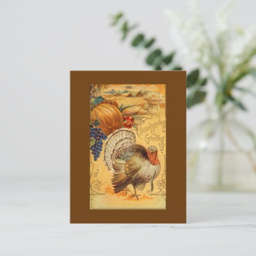 Thanksgiving Greetings Holiday Postcard | Zazzle