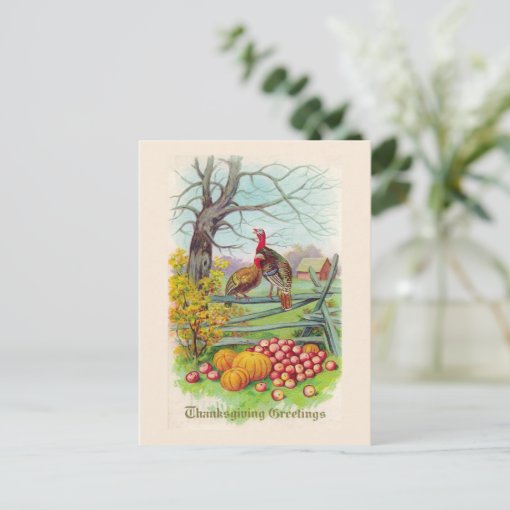 "Thanksgiving Greetings" Postcard | Zazzle