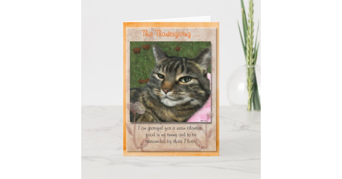 Thanksgiving message from your cat. holiday card | Zazzle