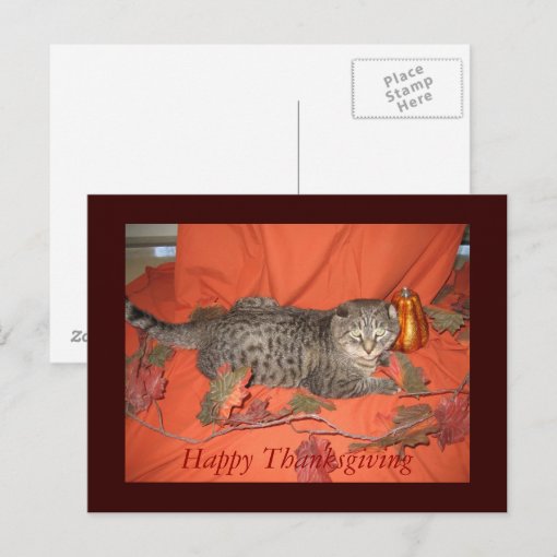 Thanksgiving Postcard | Zazzle