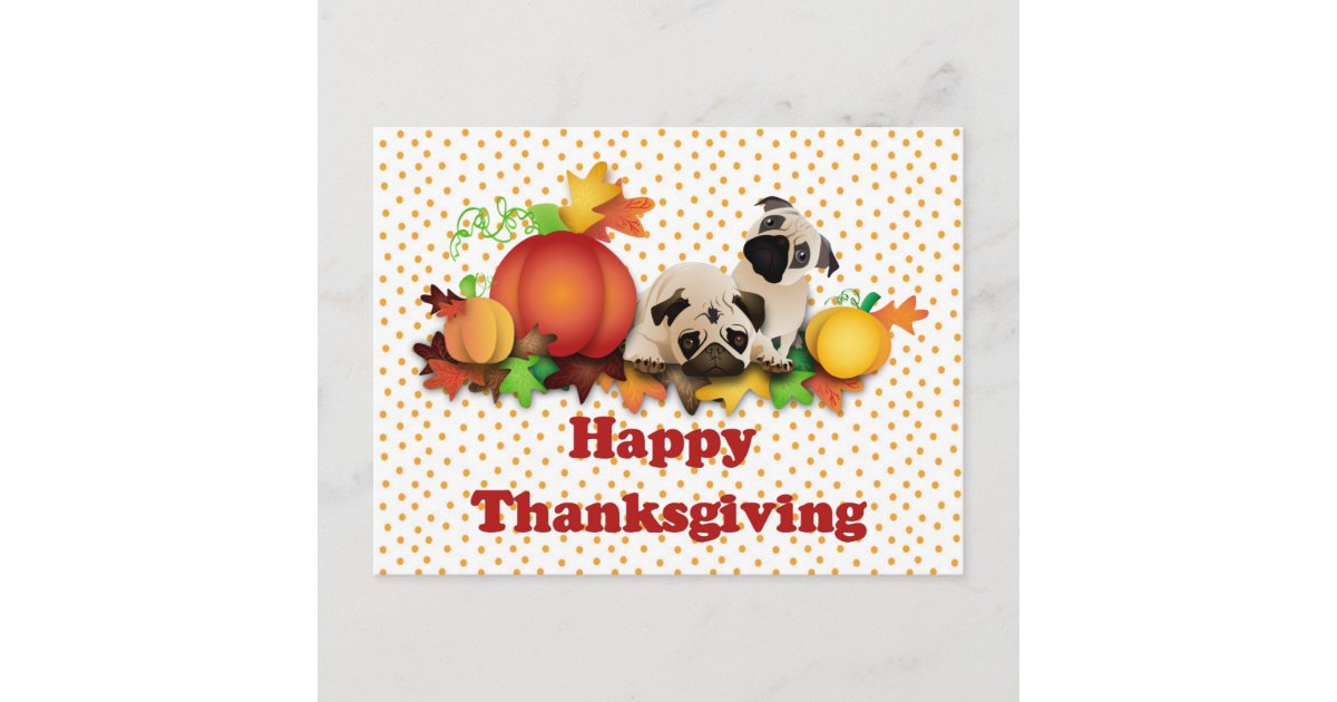 Thanksgiving Pugs and Pumpkins Holiday Postcard | Zazzle