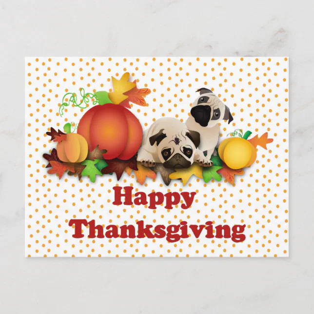 Thanksgiving Pugs and Pumpkins Holiday Postcard | Zazzle
