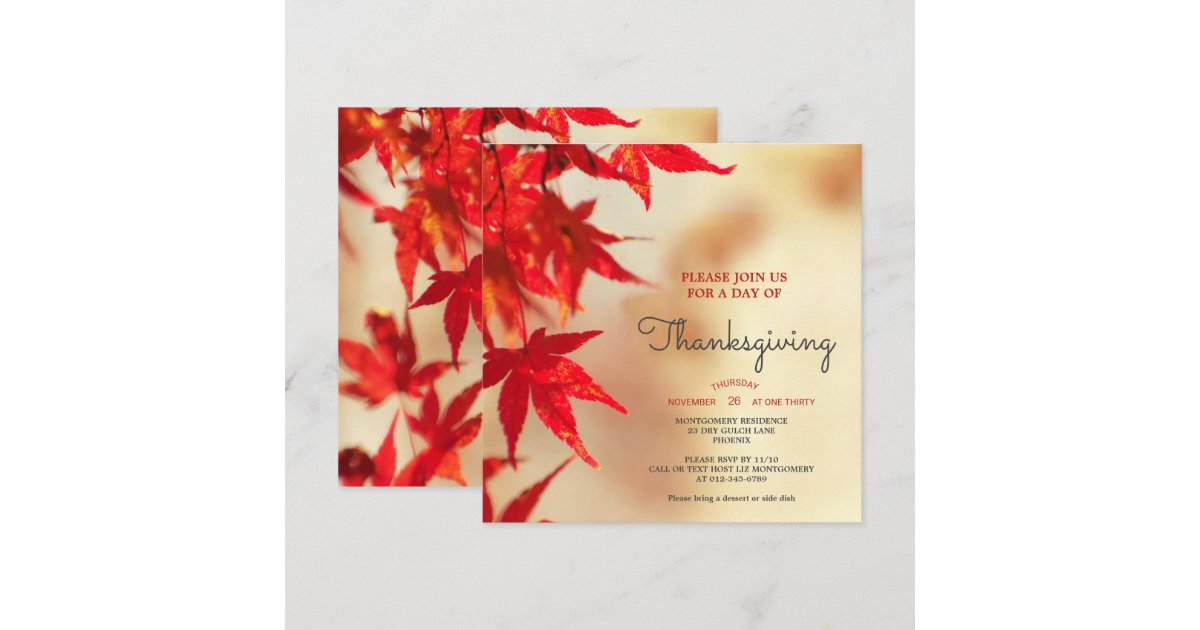 Thanksgiving Red Autumn Leaves Border Template | Zazzle