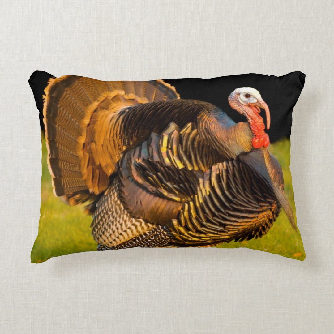 Thanksgiving turkey decorative pillow | Zazzle