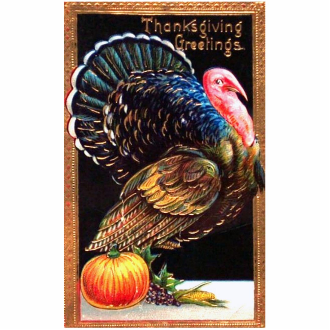 Thanksgiving Turkey Greetings Photo Sculpture | Zazzle