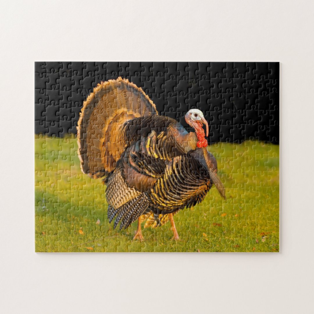 Thanksgiving turkey jigsaw puzzle | Zazzle
