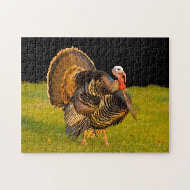Thanksgiving turkey jigsaw puzzle | Zazzle