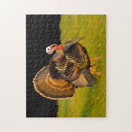Thanksgiving turkey jigsaw puzzle | Zazzle