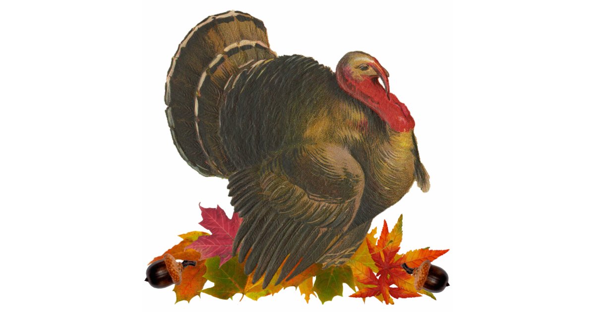 Thanksgiving Turkey Pin Statuette | Zazzle