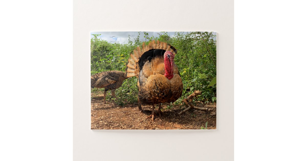 Thanksgiving Turkey Puzzle | Zazzle
