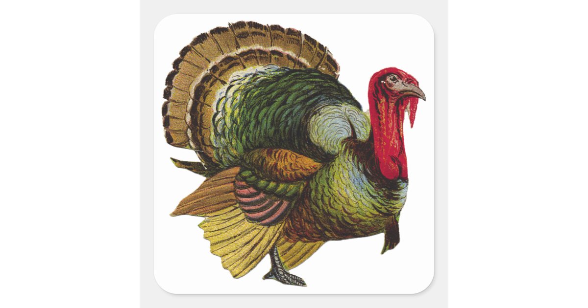 Thanksgiving Turkey Square Sticker | Zazzle