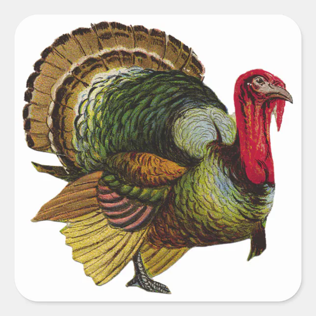 Thanksgiving Turkey Square Sticker | Zazzle