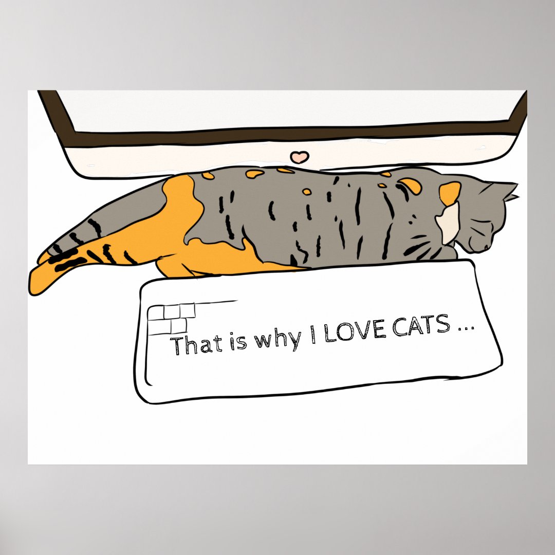 That Is Why We Love Cats Poster | Zazzle
