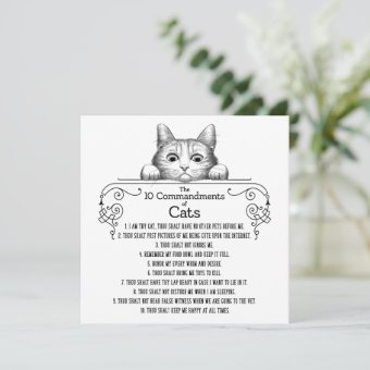 The 10 Commandments of Cats Funny Card | Zazzle