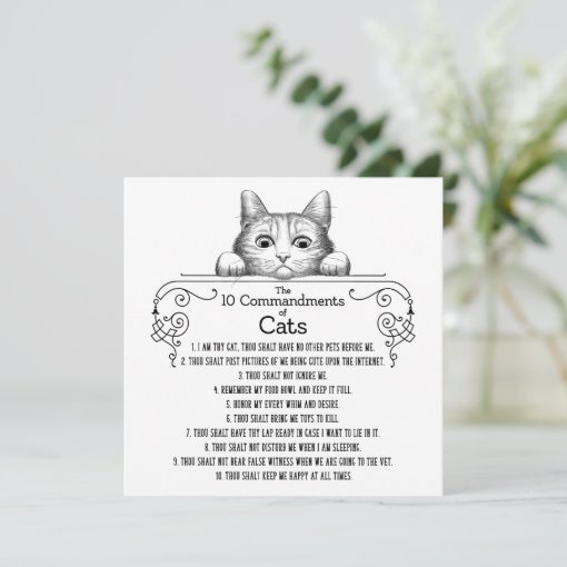 The 10 Commandments of Cats Funny Card | Zazzle