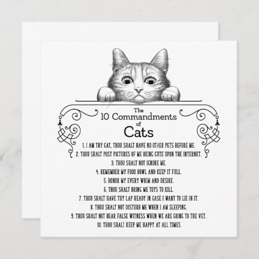The 10 Commandments of Cats Funny Card | Zazzle