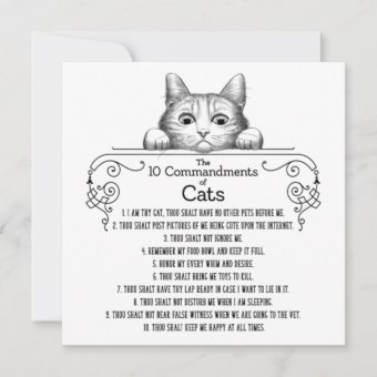 The 10 Commandments of Cats Funny Card | Zazzle