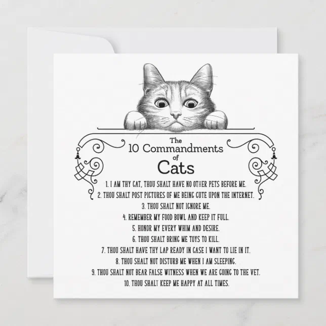 The 10 Commandments of Cats Funny Card | Zazzle