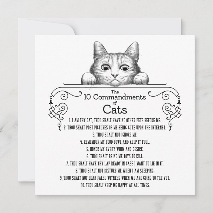 The 10 Commandments of Cats Funny Card | Zazzle.com