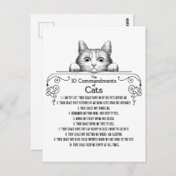 The 10 Commandments of Cats Funny Postcard | Zazzle