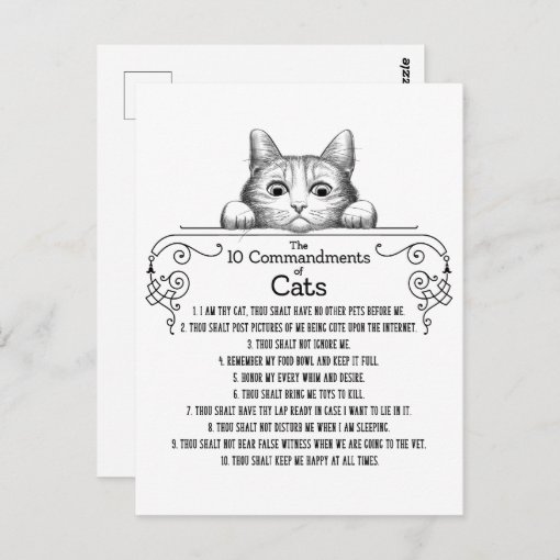 The 10 Commandments of Cats Funny Postcard | Zazzle