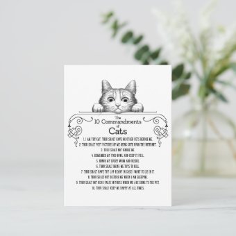 The 10 Commandments of Cats Funny Postcard | Zazzle