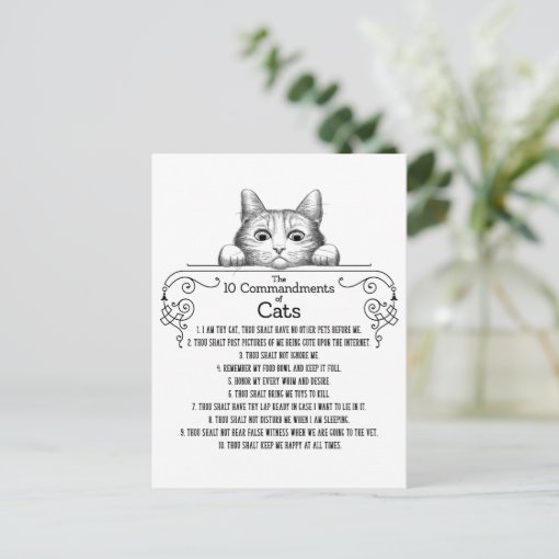 The 10 Commandments of Cats Funny Postcard | Zazzle