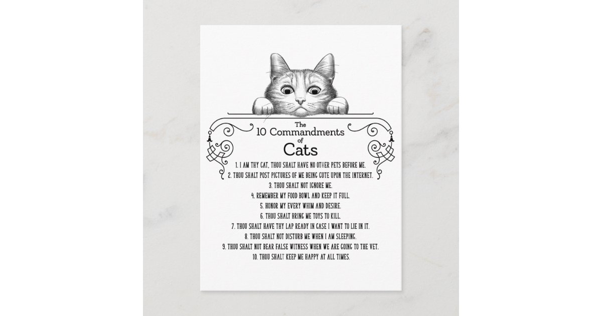 The 10 Commandments of Cats Funny Postcard | Zazzle