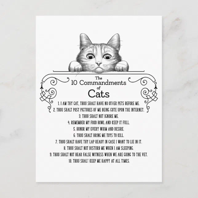 The 10 Commandments of Cats Funny Postcard | Zazzle