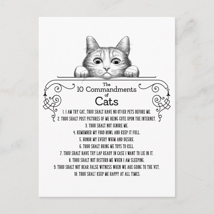 The 10 Commandments of Cats Funny Postcard | Zazzle