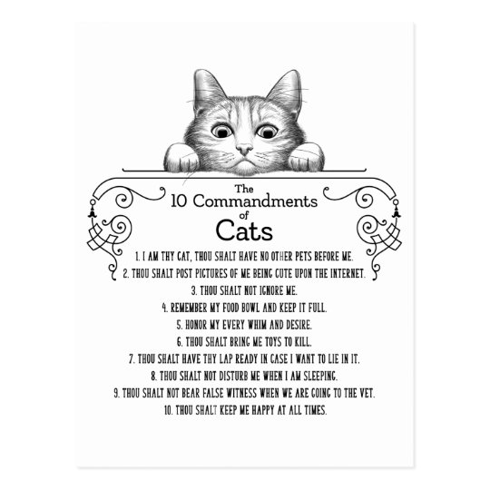 The 10 Commandments of Cats Funny Postcard | Zazzle.com