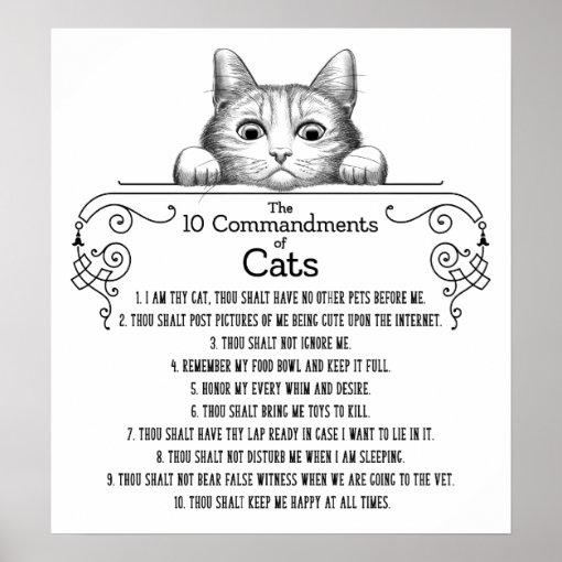 The 10 Commandments of Cats Funny Poster | Zazzle