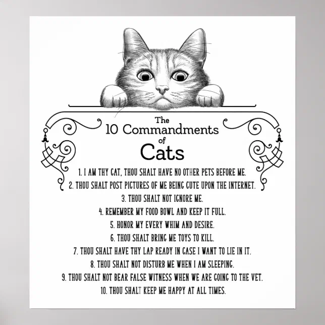 The 10 Commandments of Cats Funny Poster | Zazzle